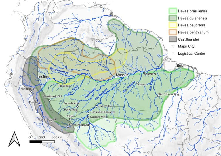 The rubber boom and its legacy in Brazil, Peru, Bolivia and Colombia