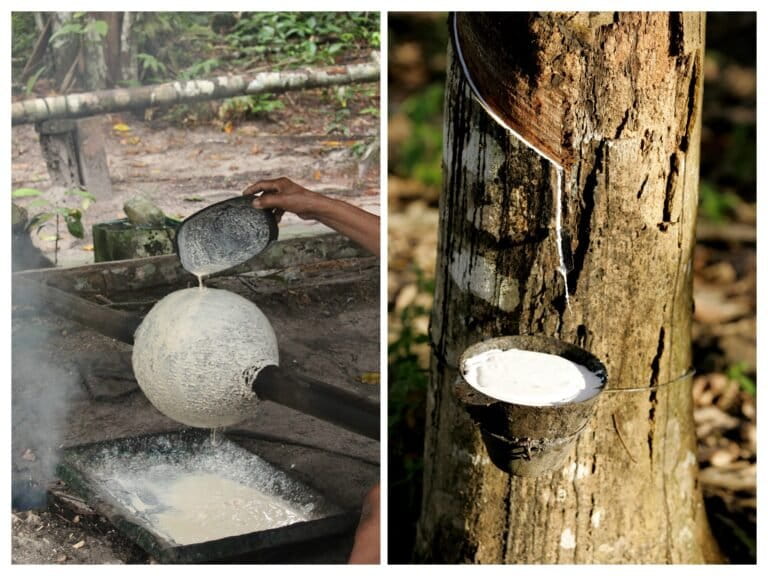 The rubber boom and its legacy in Brazil, Peru, Bolivia and Colombia