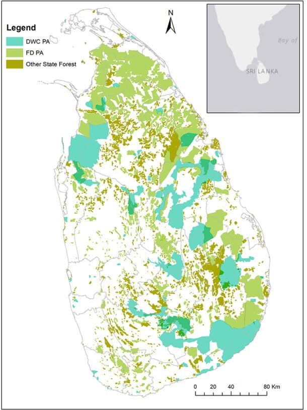 Relief in Sri Lanka as key threat to nonprotected forests is repealed
