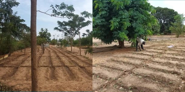 Agroecology offers blueprint for resilient farming in northern Ghana