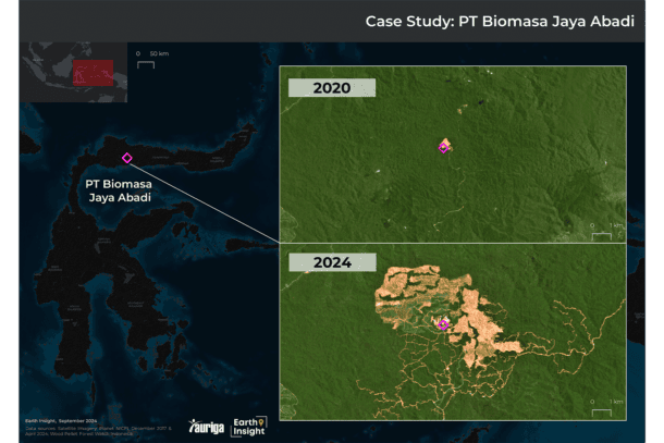 Indonesian forests put at risk by South Korean and Japanese biomass subsidies