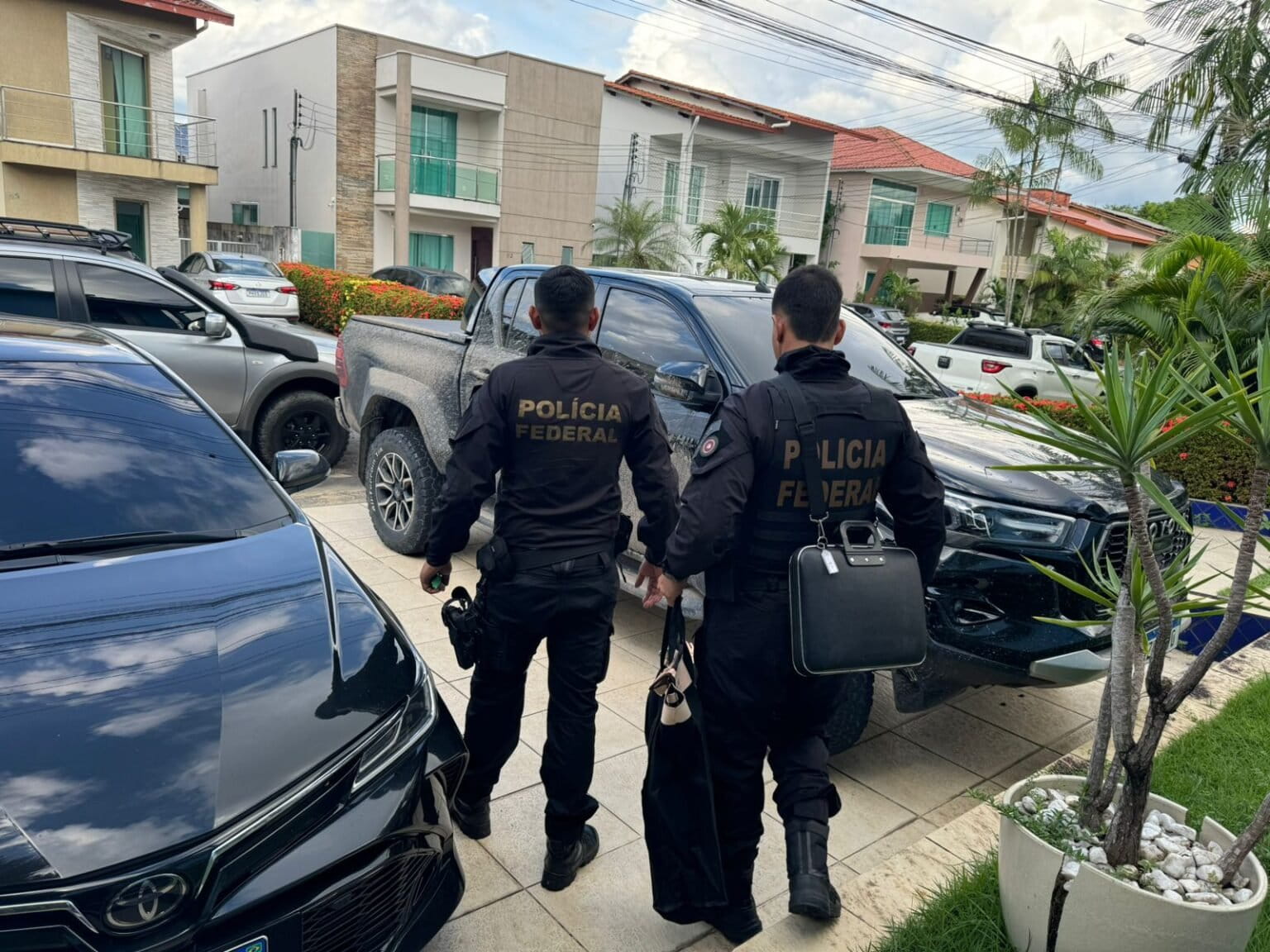 The Amazon in 2025: Challenges and hopes as the rainforest takes center stage