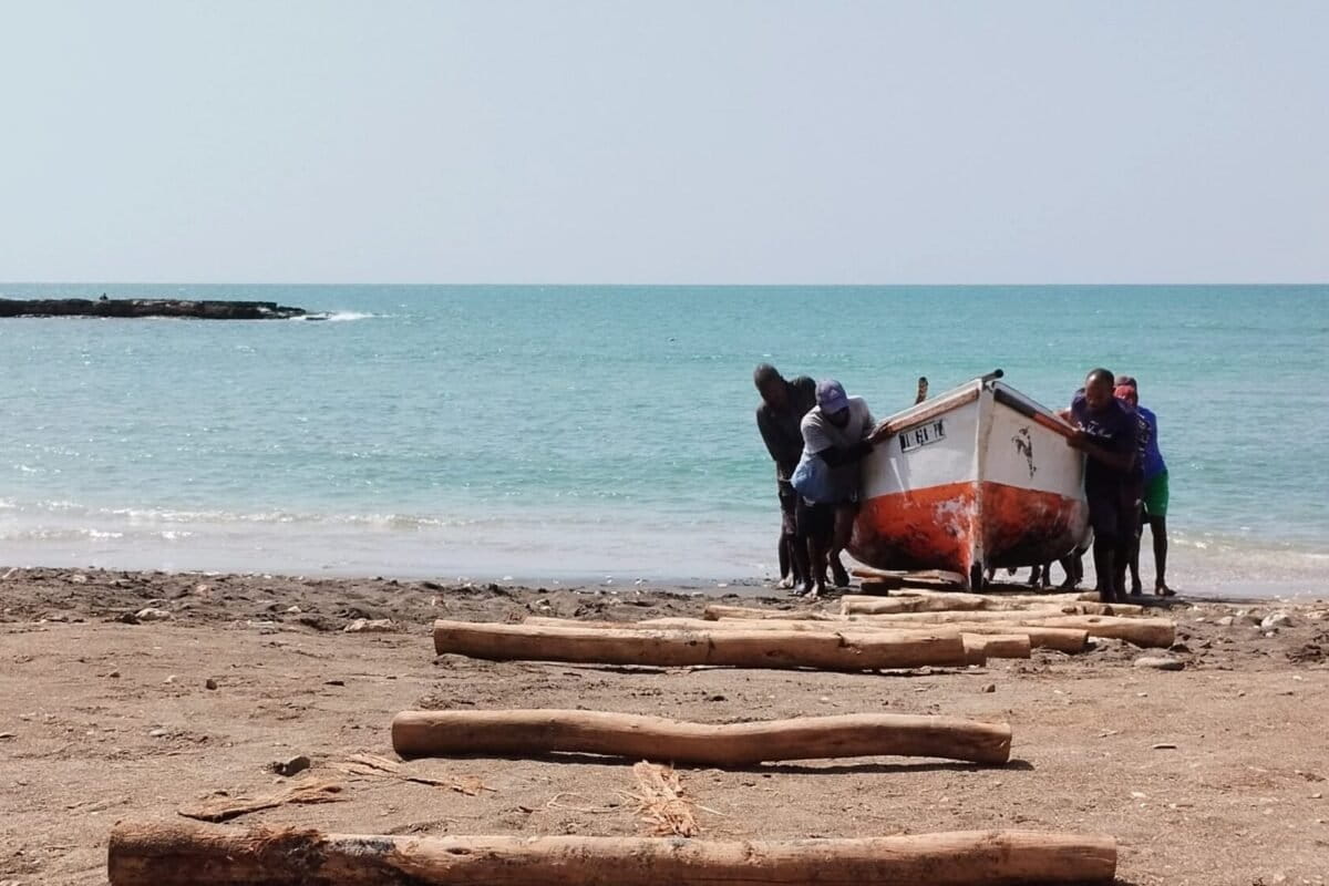 'Shifting baselines' in Cabo Verde after 50 years of declining fish stocks
