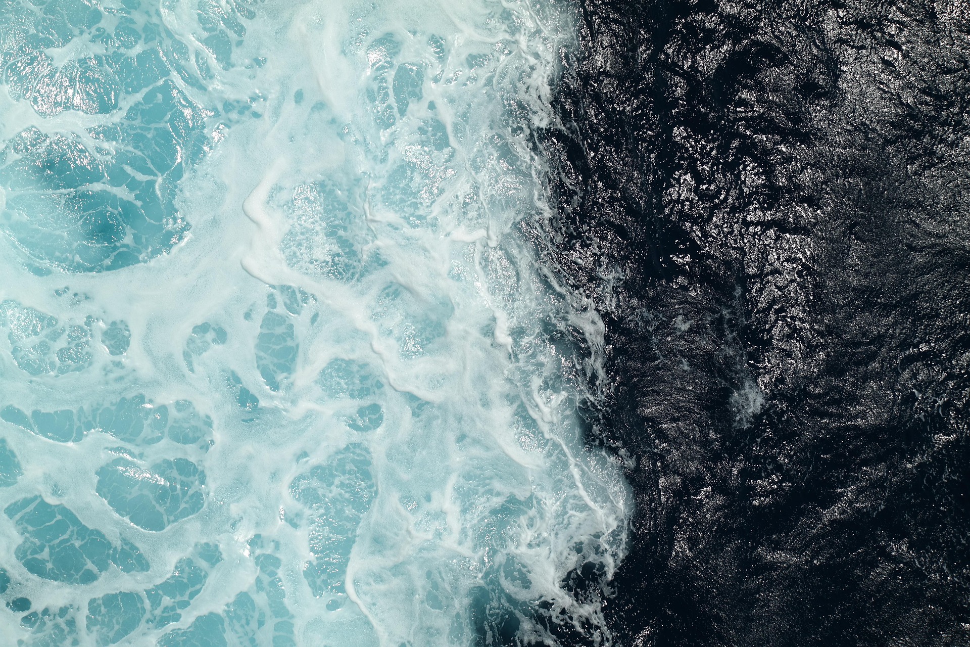 Sean Mowbray Archives