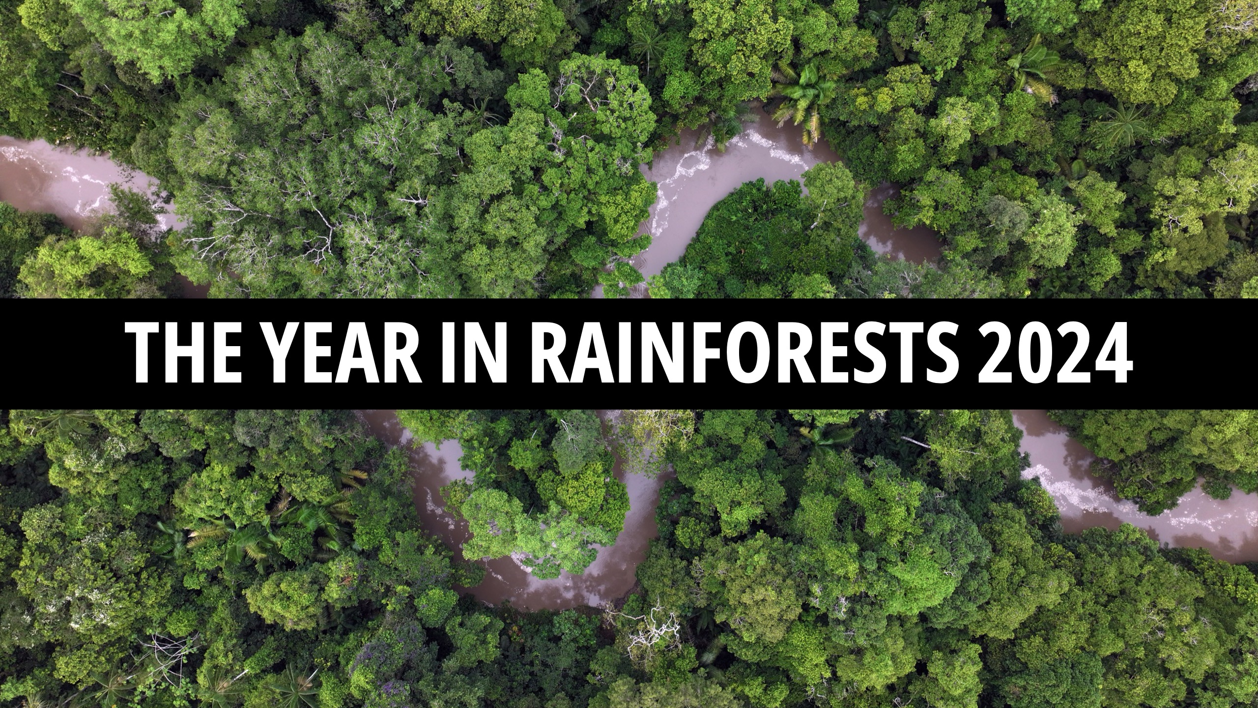Tropical Rainforests Tropical Rainforest Dreams Destinations