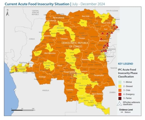 In DRC bid to grow more food, smallholders are overshadowed by ...