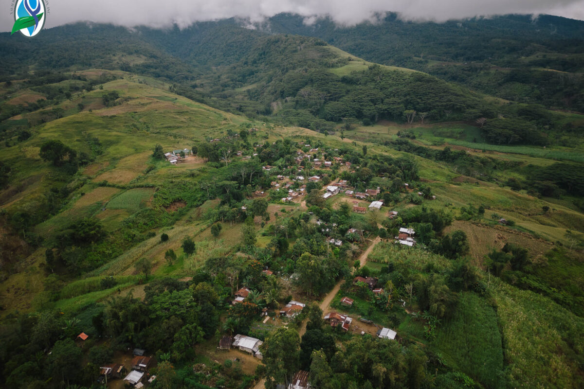 Philippine Indigenous communities restore a mountain forest to prevent ...