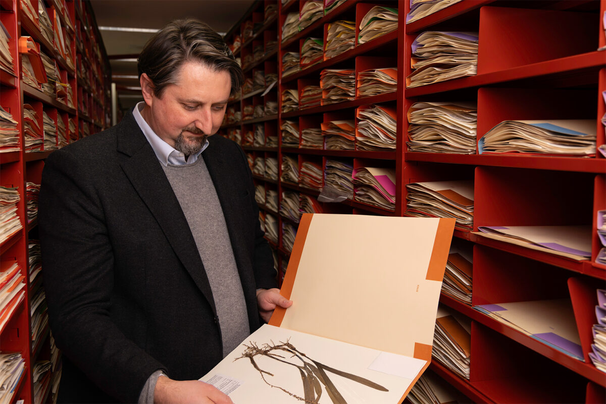 Digitizing 6 million plant specimens: Interview with Gunter Fischer ...