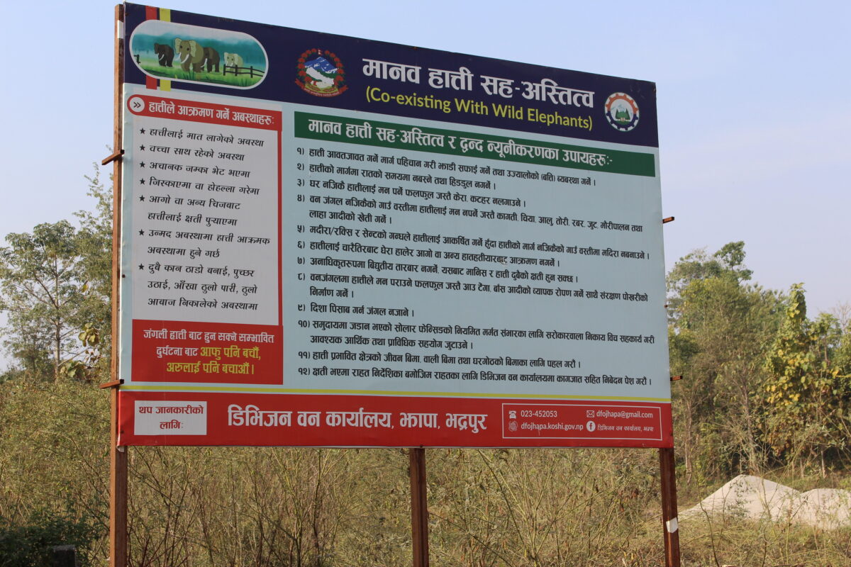 How a Nepali border village learned to live with migratory wild elephants