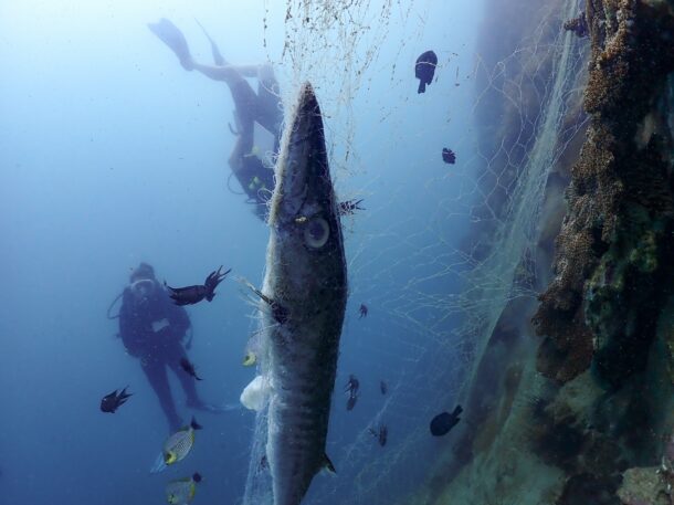 Underwater citizen science reveals the specter of ghost fishing in Thailand