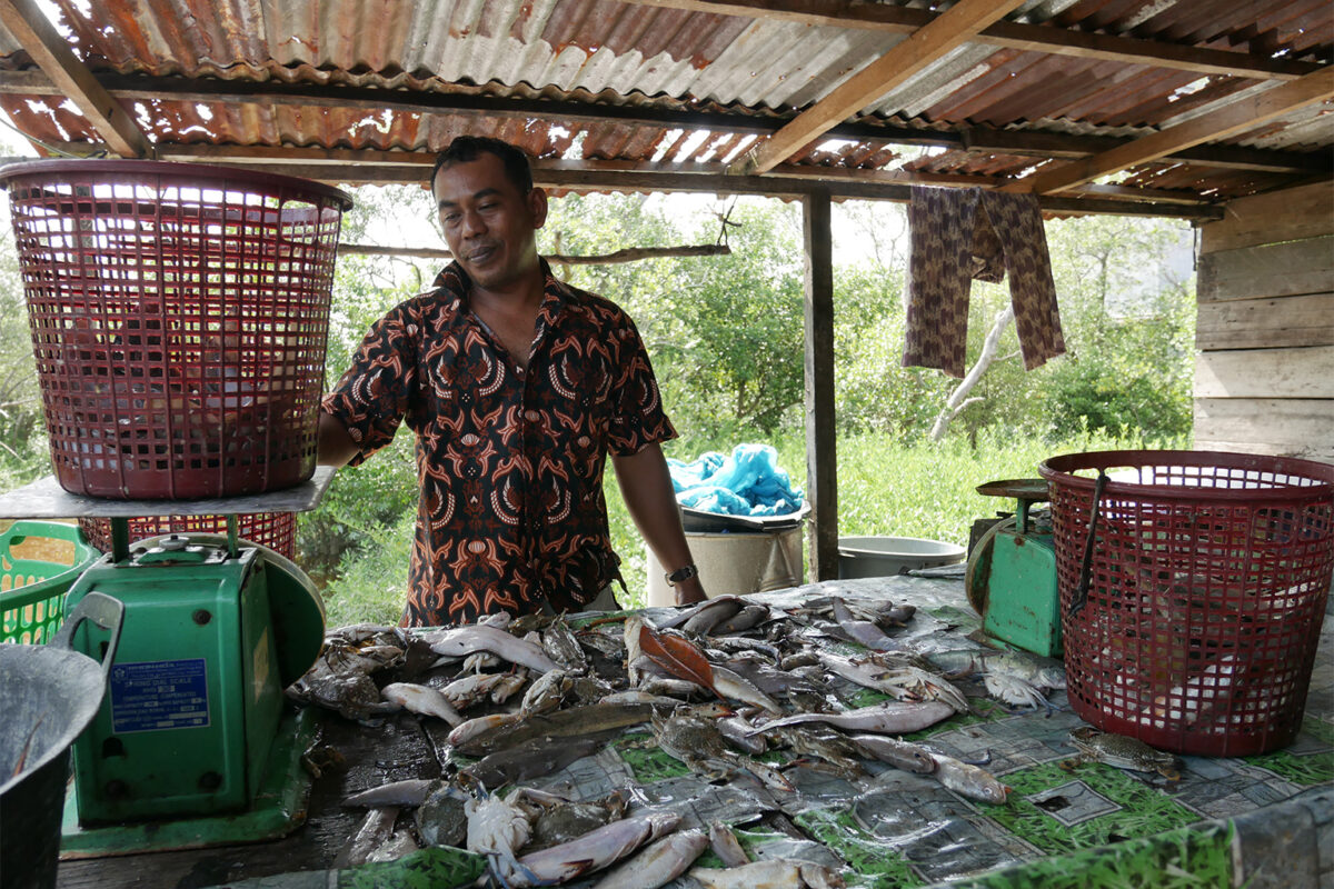 Unchecked illegal trawling pushes Indonesia’s small-scale fishers to ...