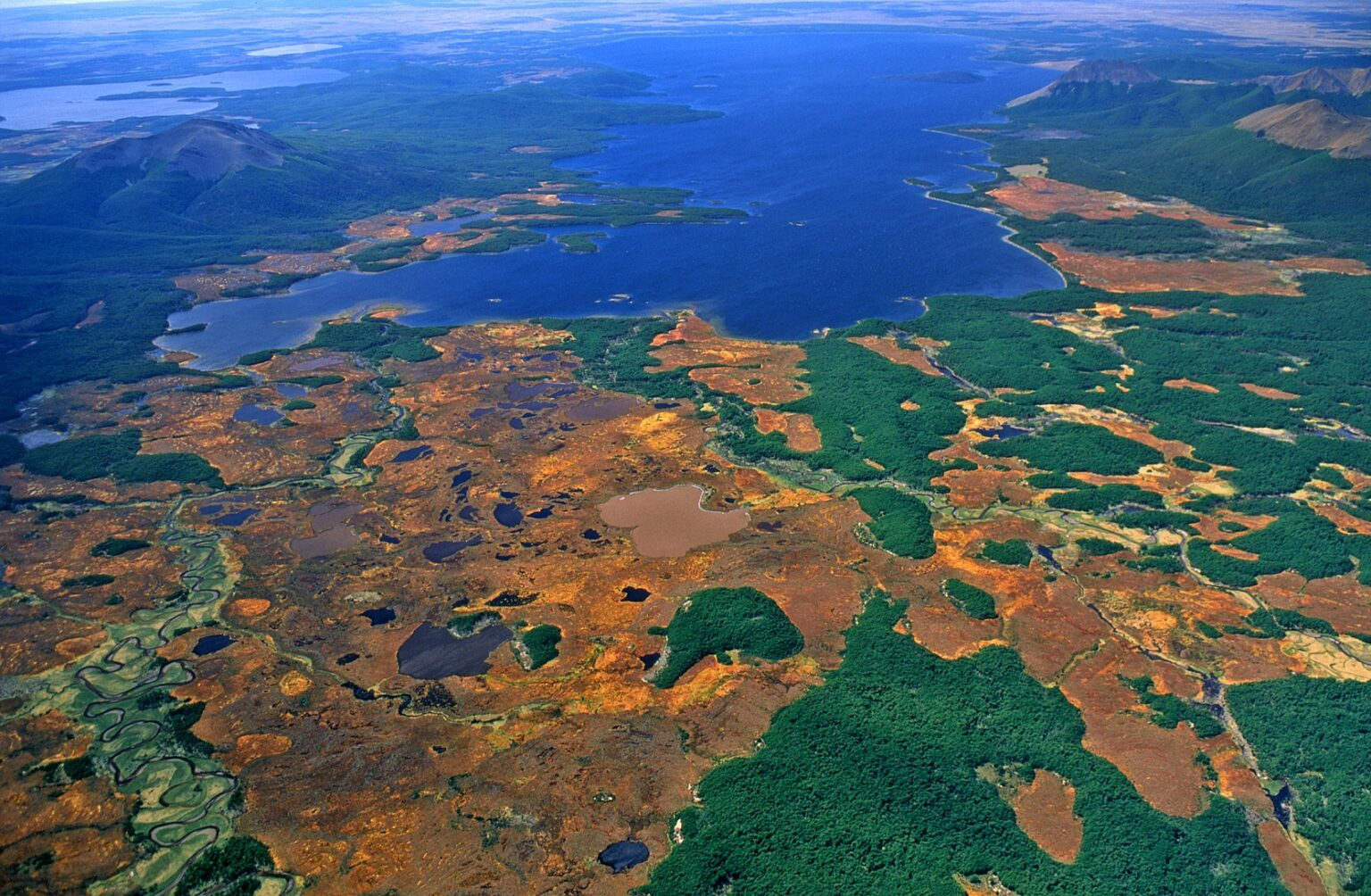 Only 17% of peatlands, vital to curbing climate change, are protected ...