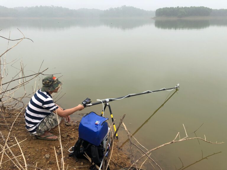Can a new DNA test save the world’s rarest turtle?