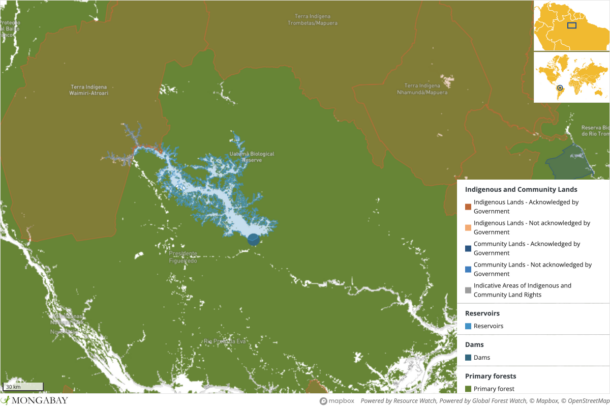 Endemic fish wiped out in Brazilian Amazon hydroelectric dam area ...