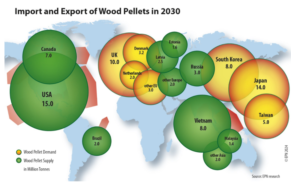 Forest biomass growth to soar through 2030, impacting tropical forests