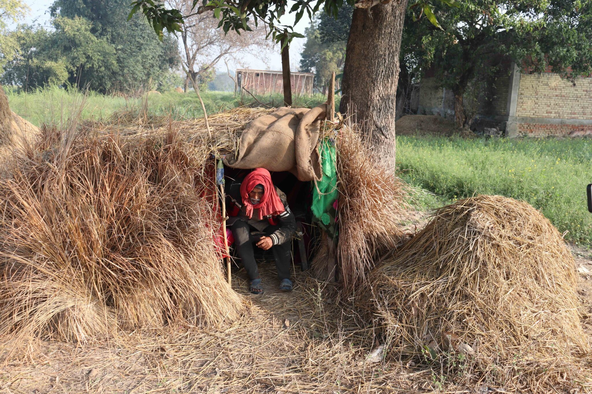 Farmers in Nepal and India see red as blue bulls raid their crops