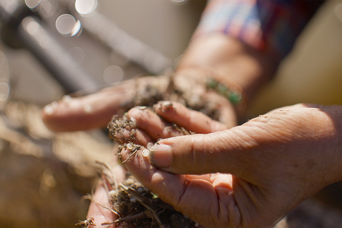 Microplastic within humans now a health crisis: Interview with ‘Plastic ...