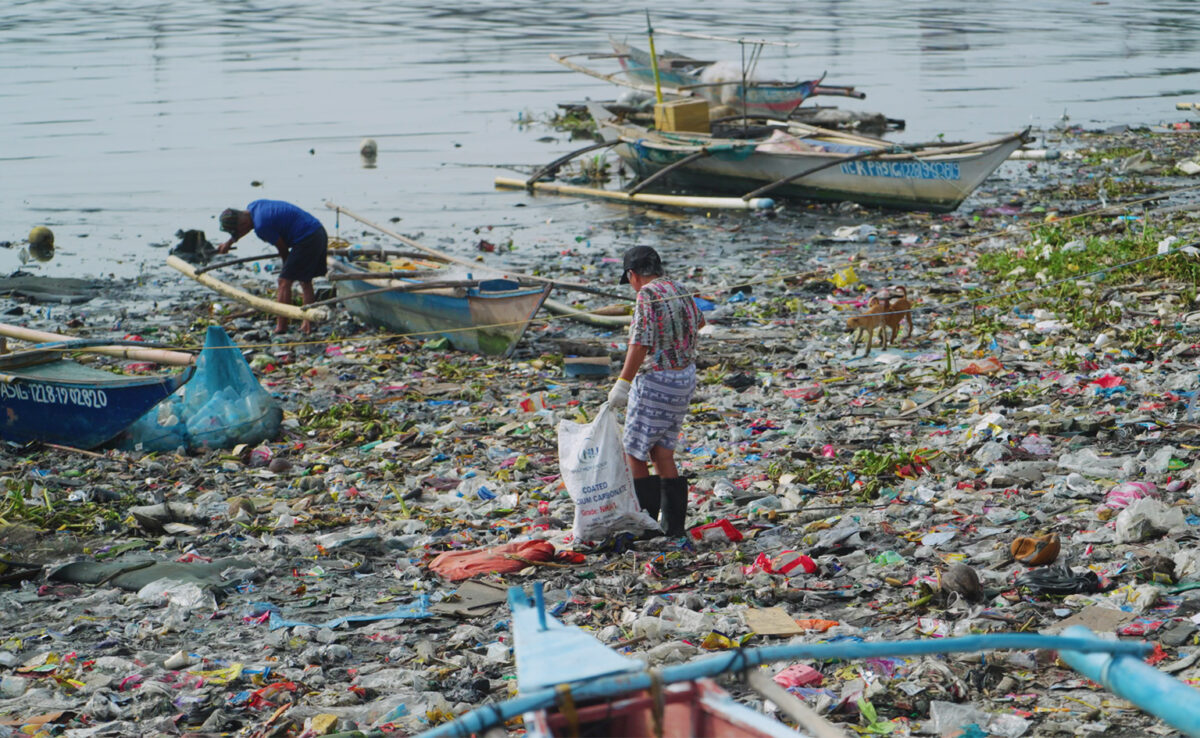 Microplastic within humans now a health crisis: Interview with ‘Plastic ...