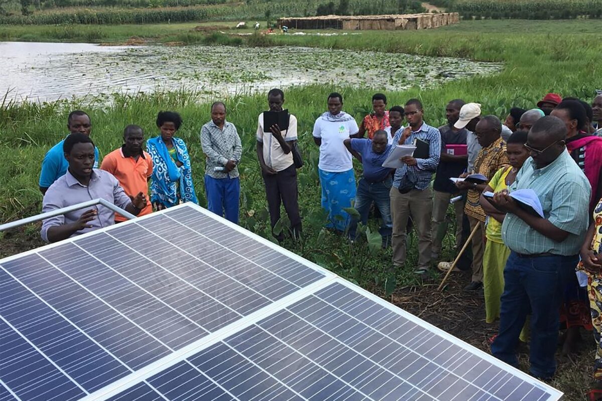 Smallholder agriculture blossoming with the use of renewables in Africa ...