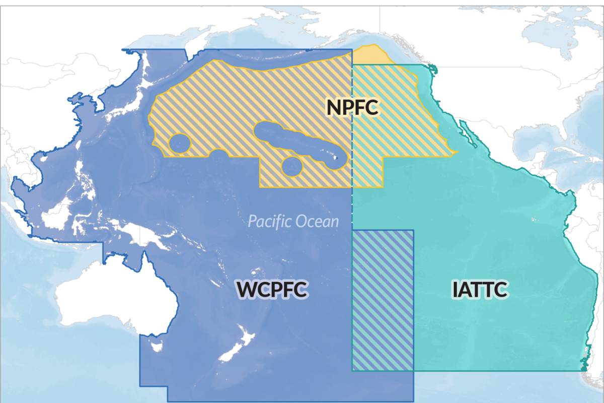 ‘Substantial’ transshipment reforms adopted at North Pacific fisheries ...