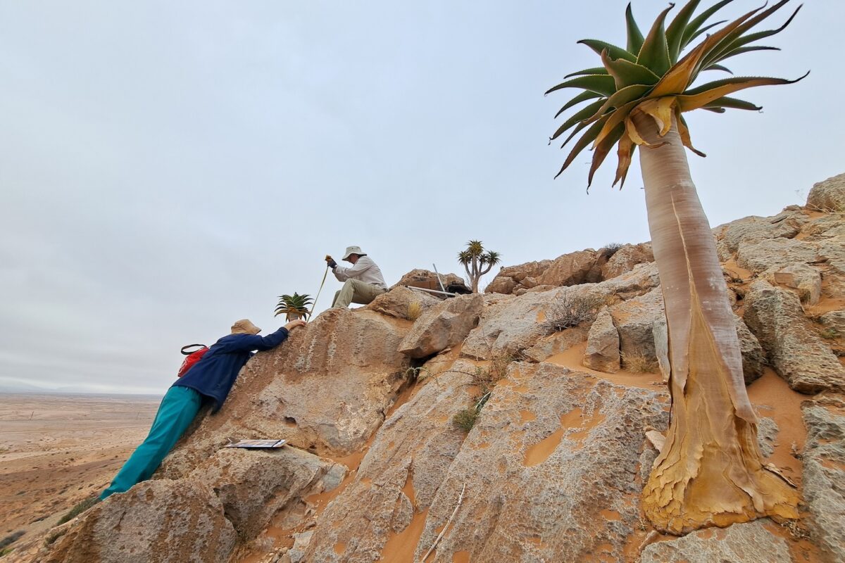 PHOTO ESSAY Wind-blown sand scouring life off a Southern African landscape