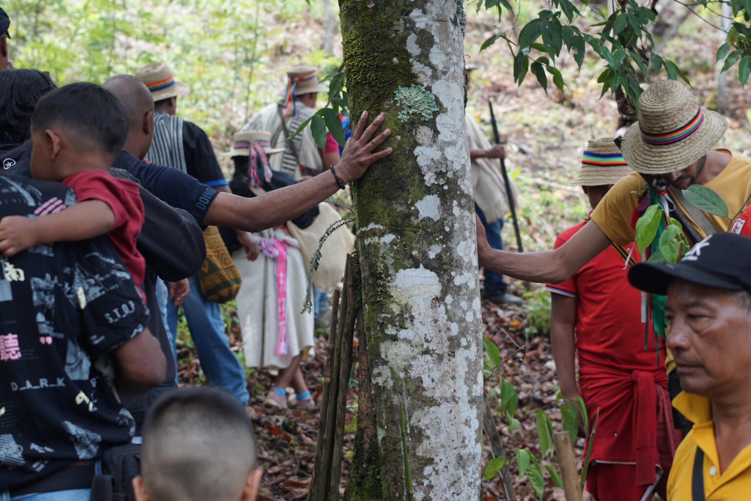 Photos: Colombia’s Indigenous Nasa push back against cultural loss to ...