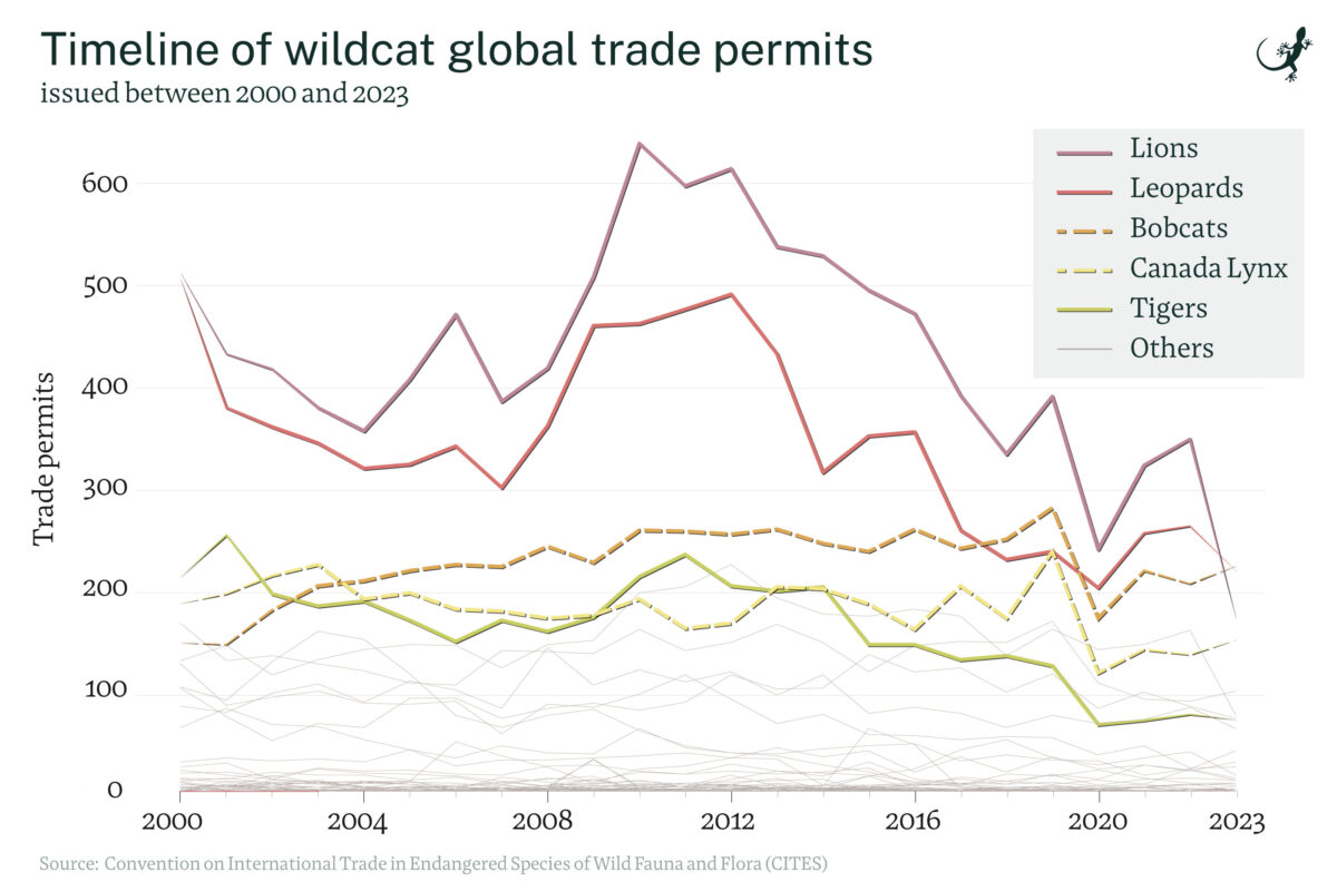What do CITES data tell us about the legal wildcat trade?