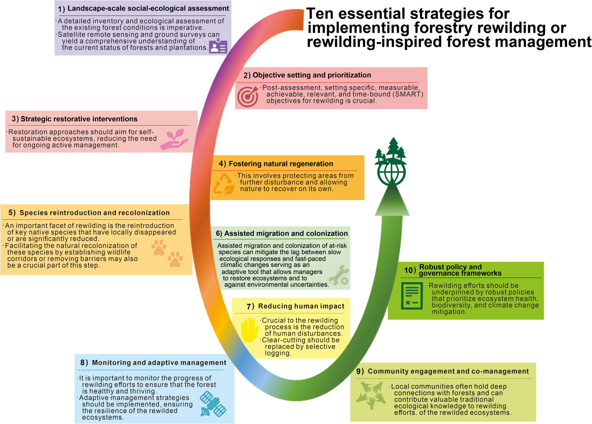 Diverse forests and forest rewilding offer resilience against climate change
