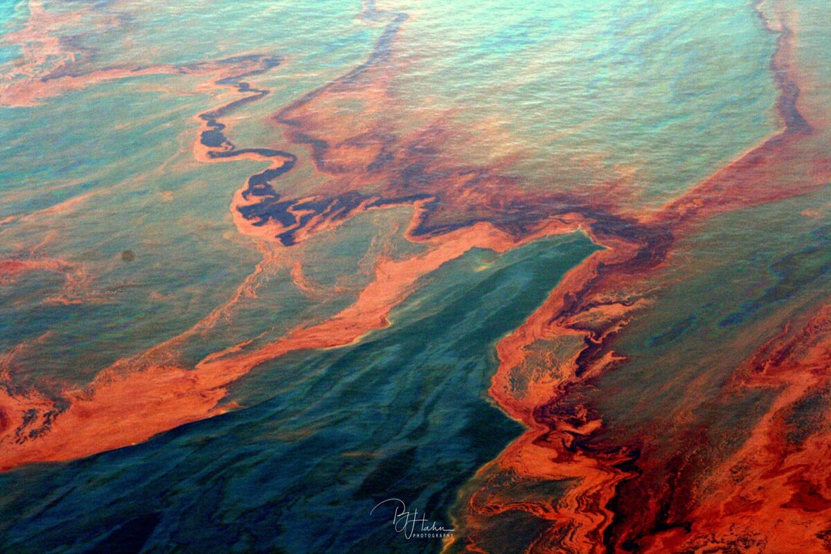 15 years after the BP oil spill disaster, how is the Gulf of Mexico faring?