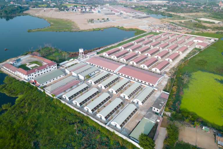 Data discrepancies suggest Laos monkey smuggling persists, despite ...