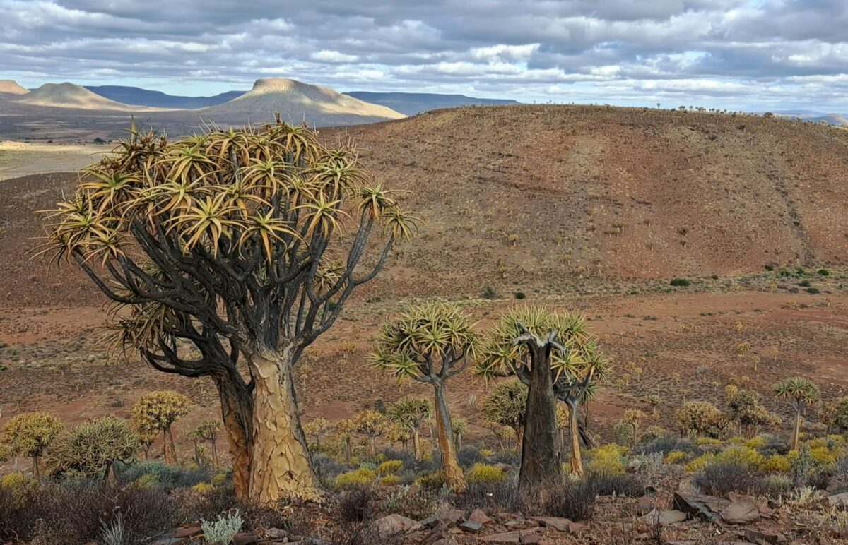 PHOTO ESSAY Wind-blown sand scouring life off a Southern African landscape