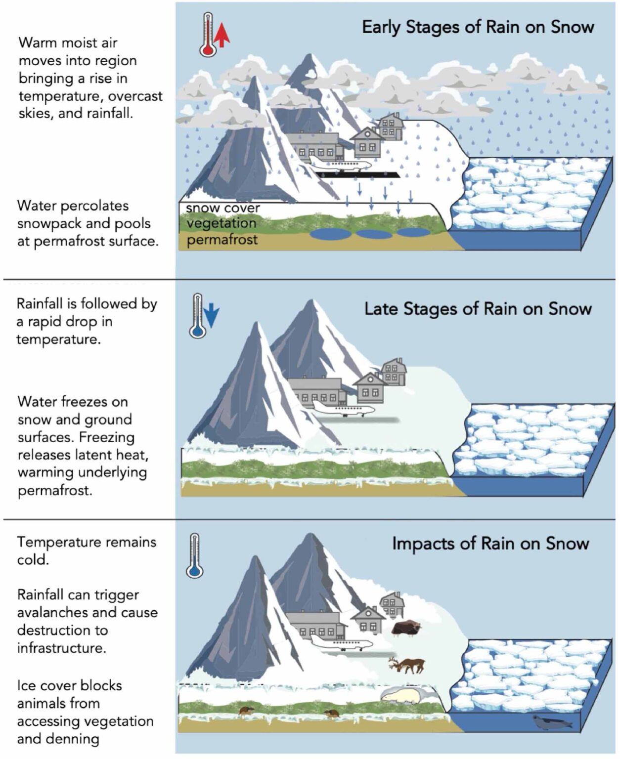 Winter warming and rain extreme events pose overlooked threat to Arctic ...