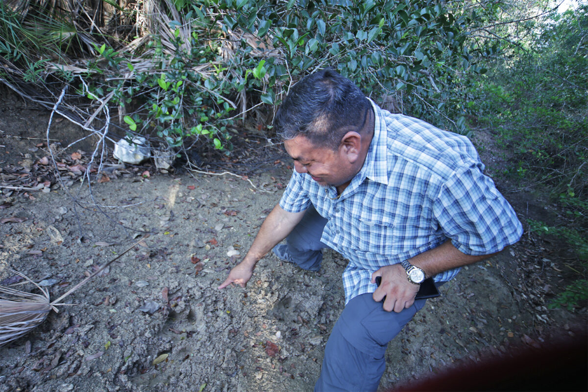 Protection is only the beginning: Creating connection through Belize's ...