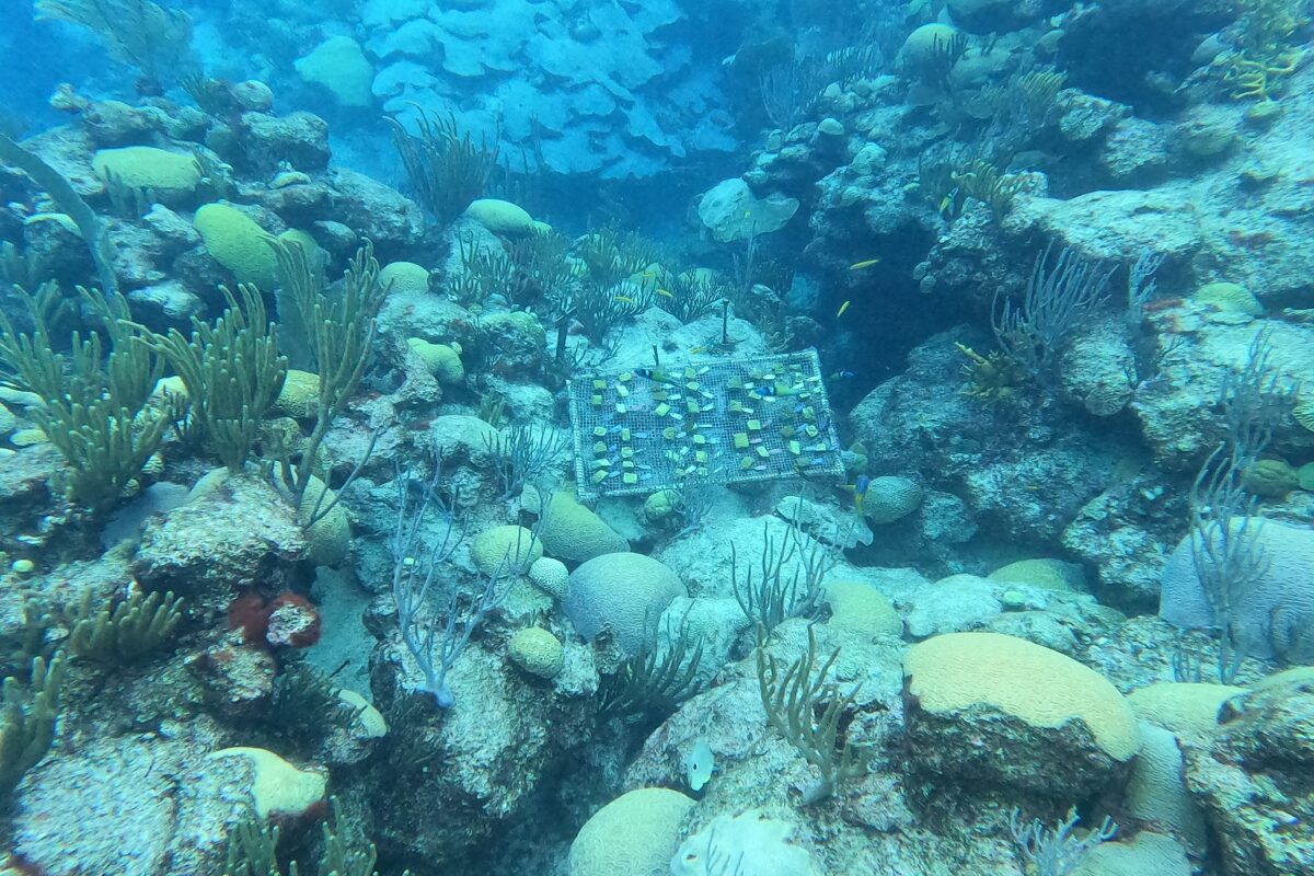 Marine artificial upwelling, problematic climate solution slow to advance