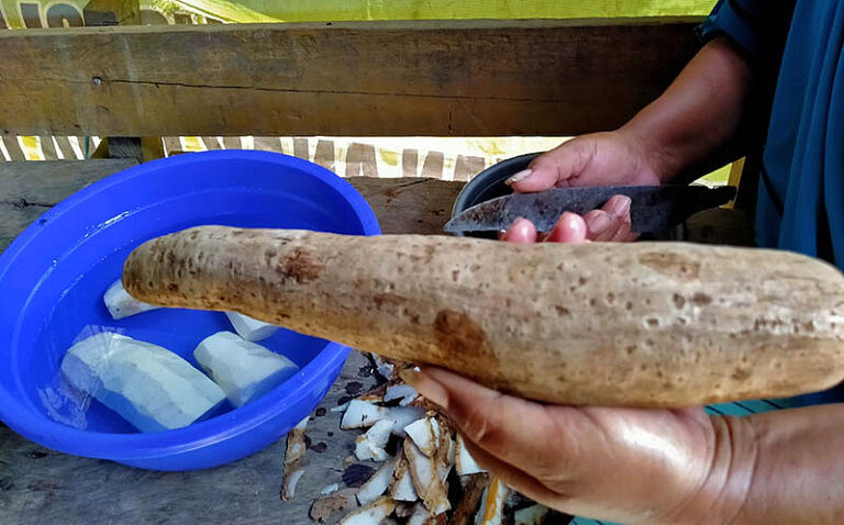 On remote Indonesia karst outpost, Indigenous farmers fear the silence ...