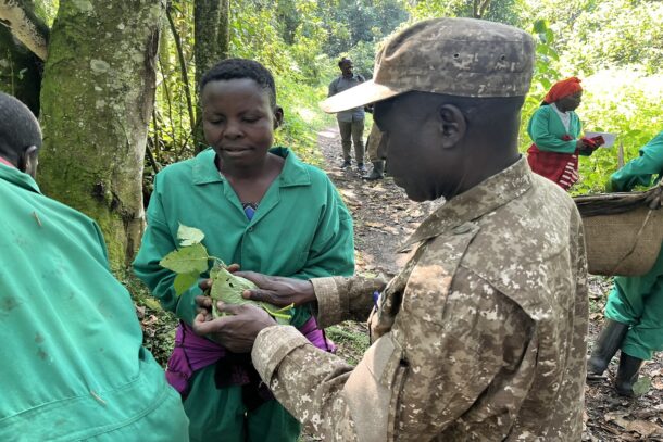 To survive climate change, scientists say protected areas need ‘climate ...