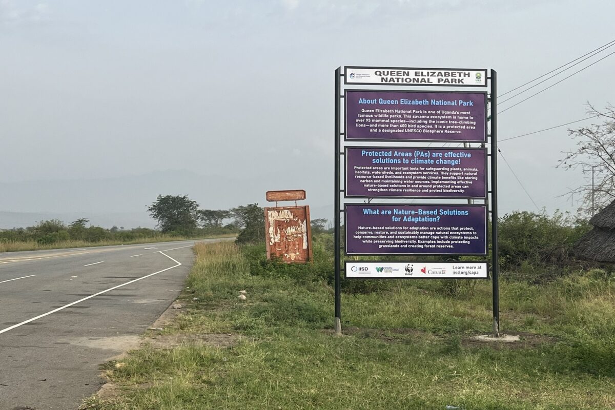 To survive climate change, scientists say protected areas need ‘climate ...