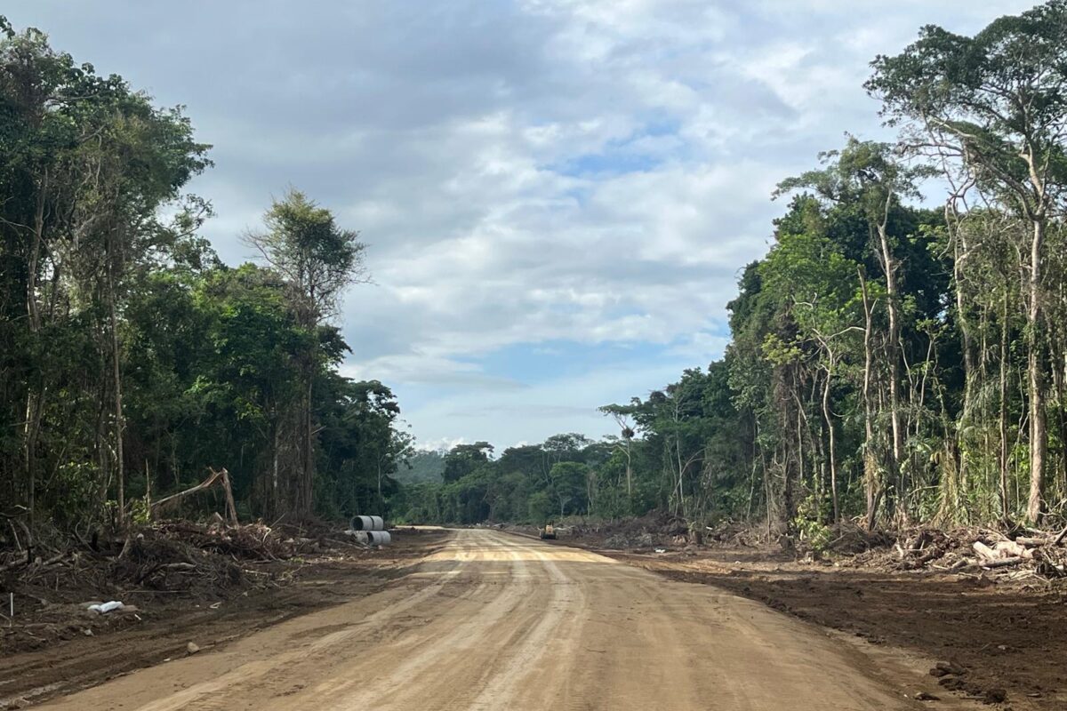 Panama boosts protections in the Darién Gap, but deforestation threats ...