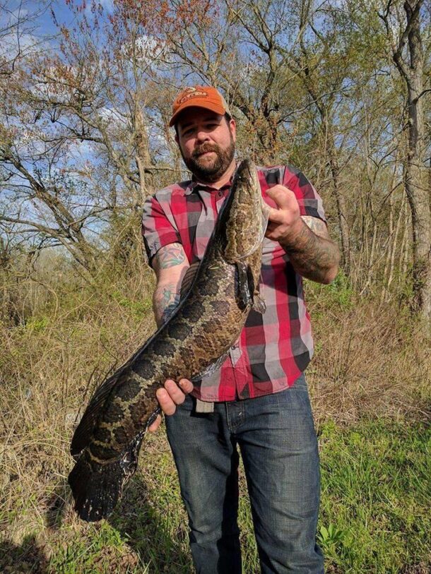 Predatory snakehead fish poses invasive threat after sighting in Sri ...