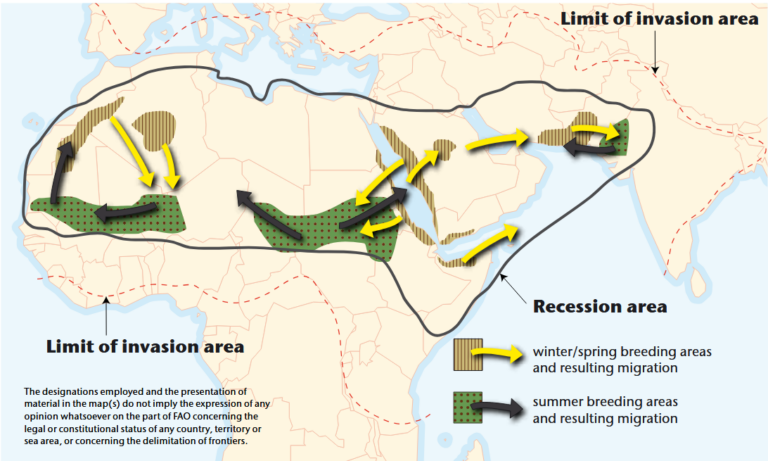 Agencies race to prevent new food crisis as locusts return to northern ...