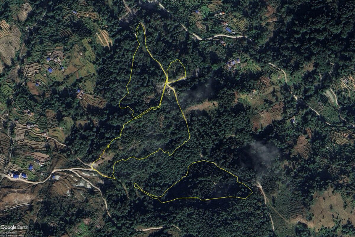 Nepal sees positive outcome from reforestation project using local ...