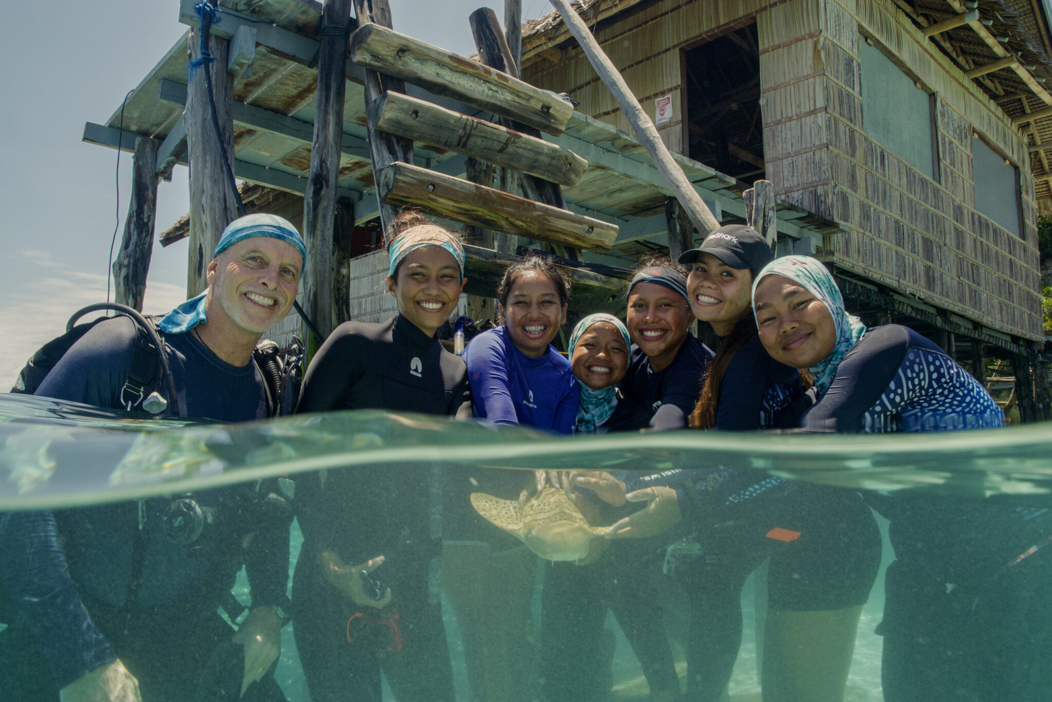 Can we undo extinction? A growing effort to restore lost sharks