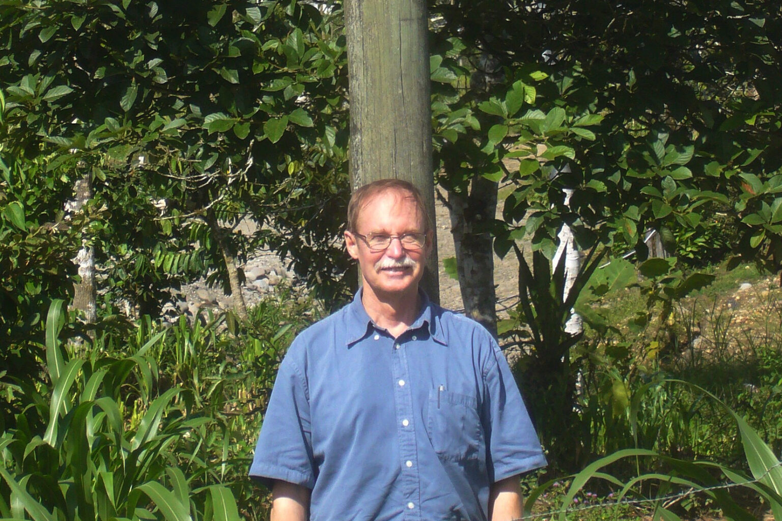 From deforestation to renewal: Why reforestation isn’t just about trees