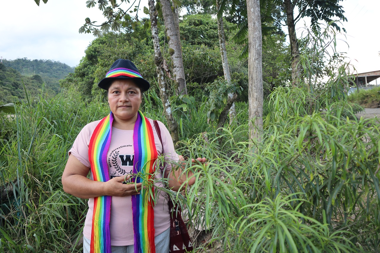 Illegal roads expand in Colombia’s deforestation hotspots