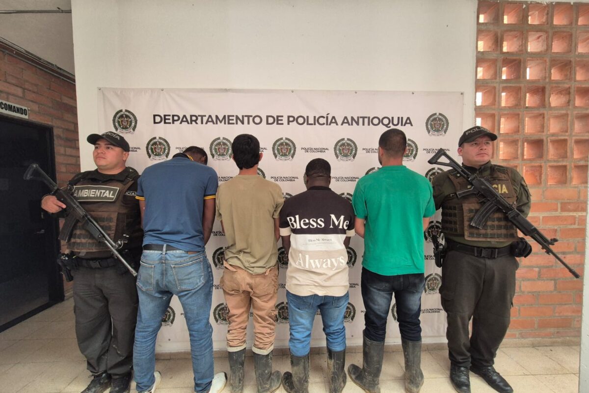 Cross-border operation cracks down on environmental crimes in the Amazon