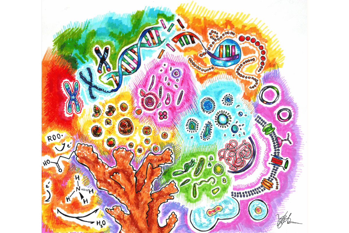 Microbiomes may be corals’ secret weapon against climate change: Study