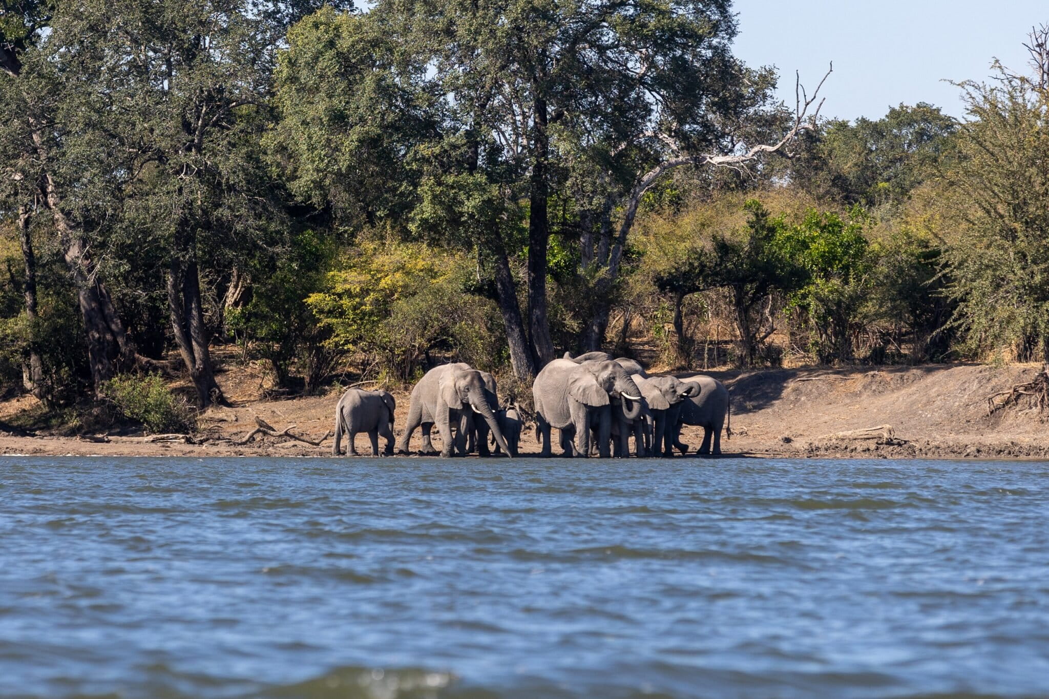Kafue River Transect