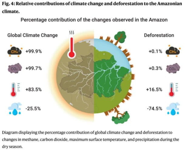 Why is rainfall declining in the Amazon? New research says ...