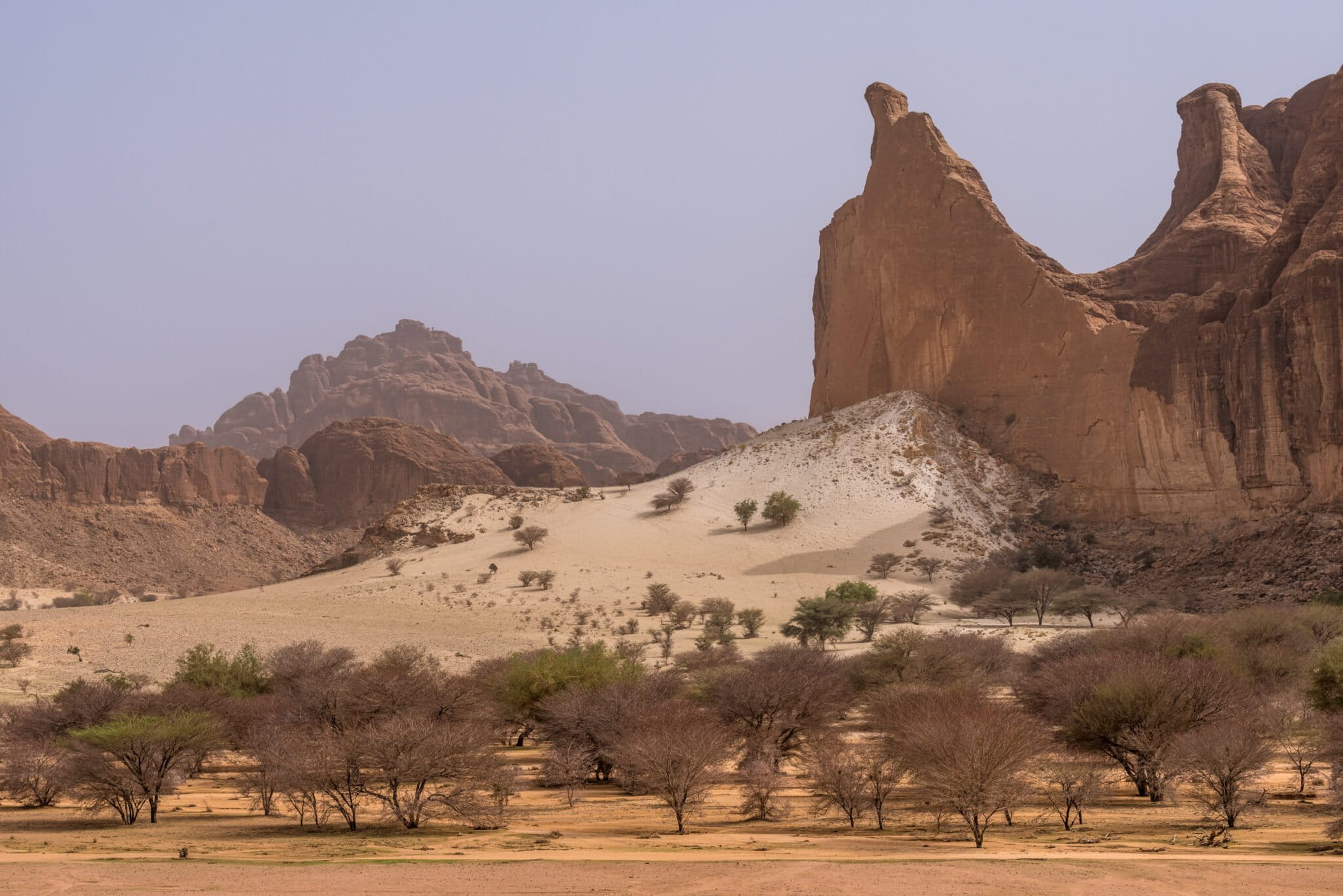 An Empire of Nature: African Parks and Rwanda’s Nyungwe Forest