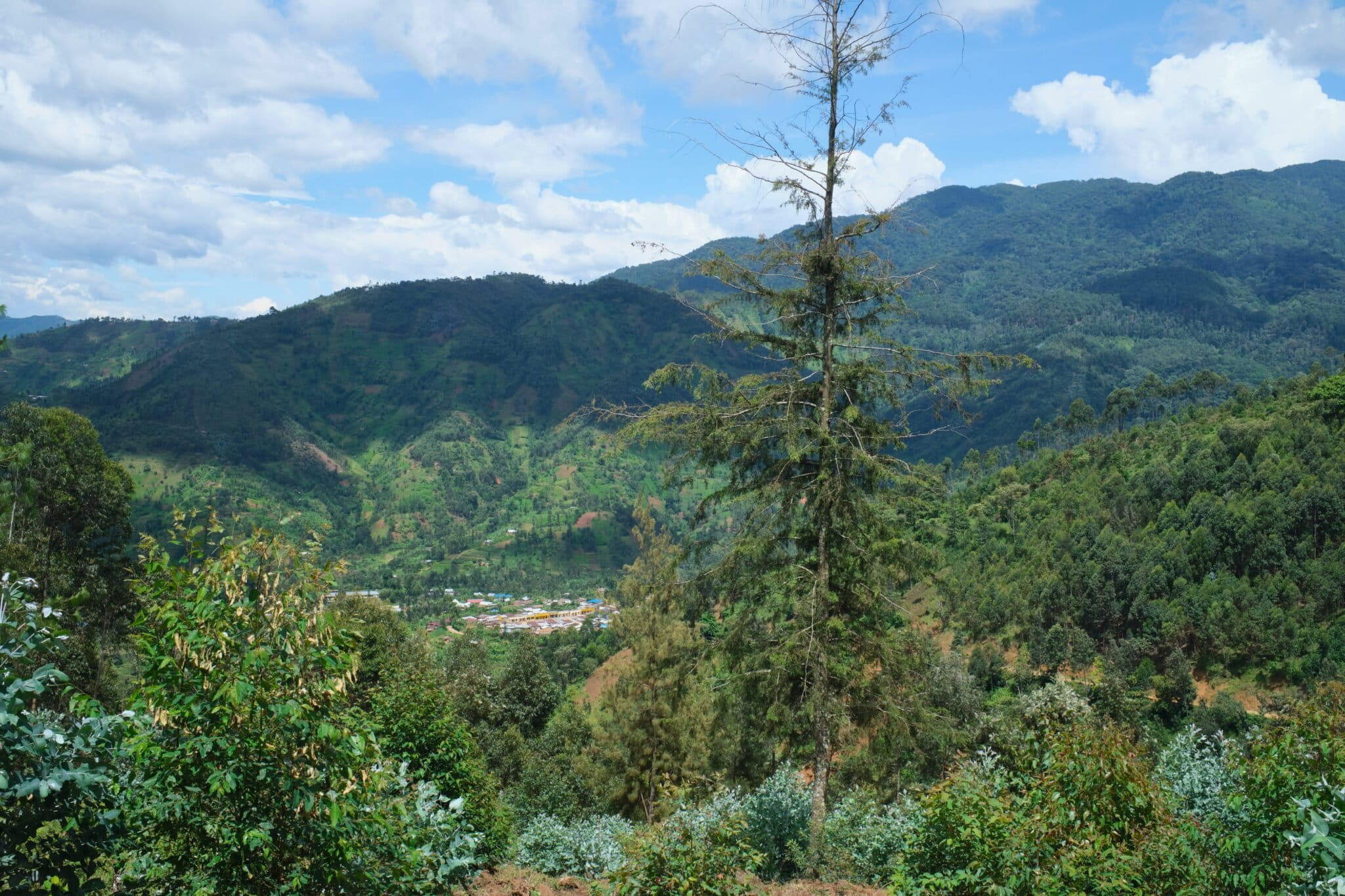 A Thin Green Line: The 2,000-strong ranger force of African Parks
